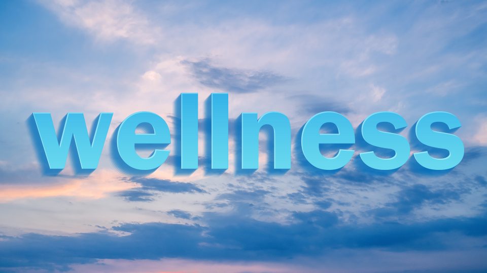Wellness - DC Police Union